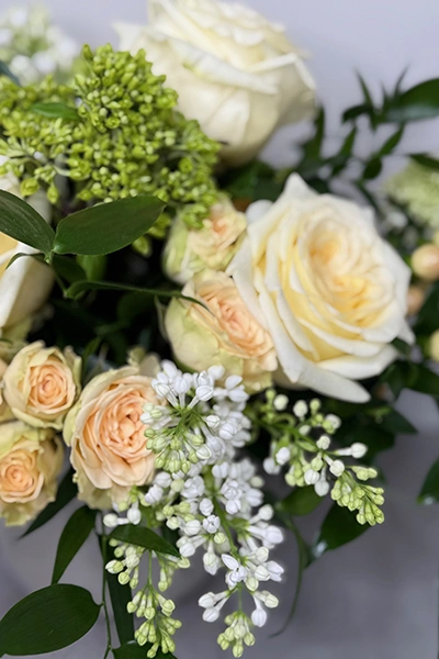 Metropolitan Plant and Flower Exchange :: Fort Lee, West Orange ...