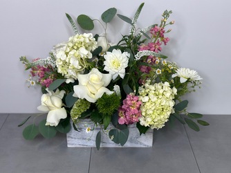 Metropolitan Plant and Flower Exchange :: Fort Lee, West Orange ...